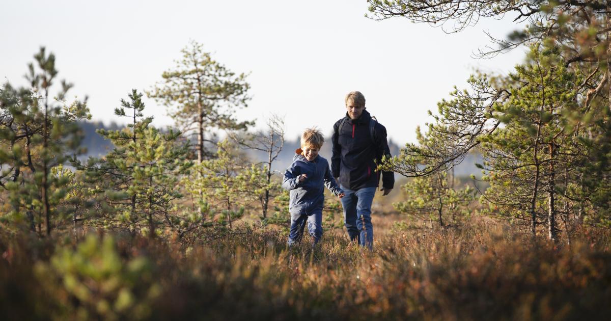 Partnership for the Assessment of Risk from Chemicals PARC | Finnish ...