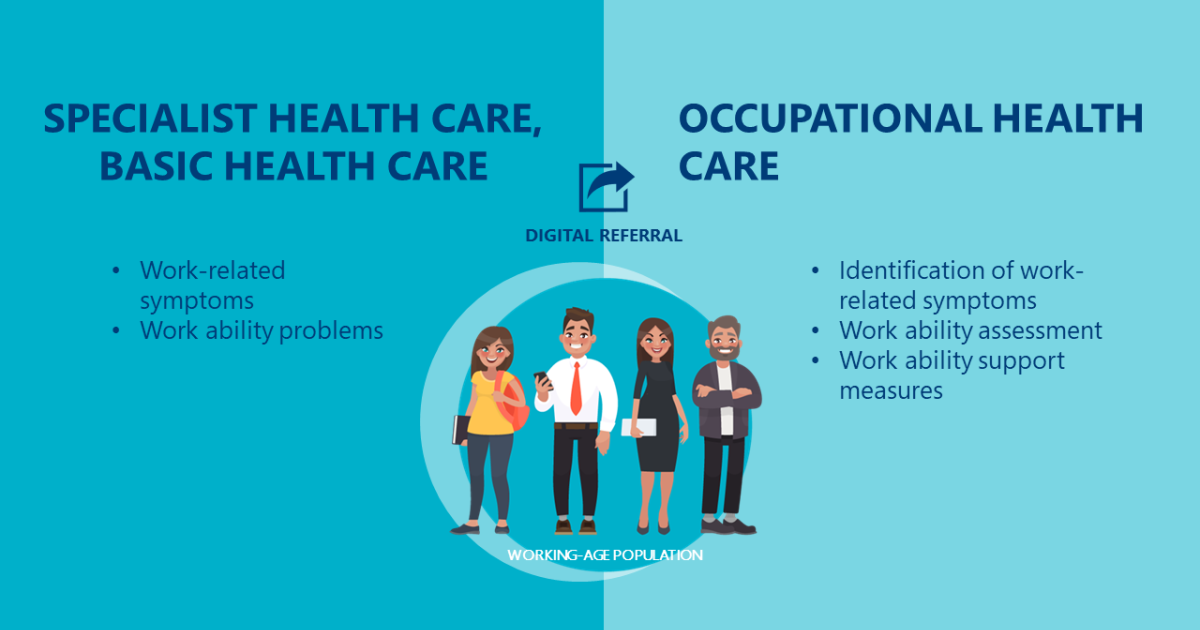 3. Referral to the co-ordination of working ability issues in ...